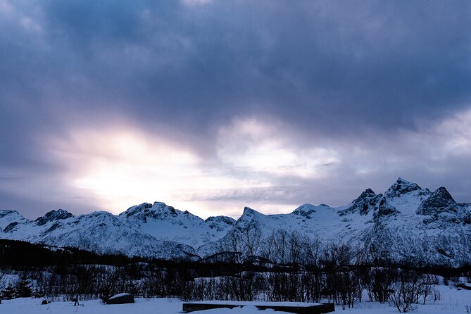 Tromso-Snowshoeing Excursion to Viewpoint - Who Should Consider This Tour?