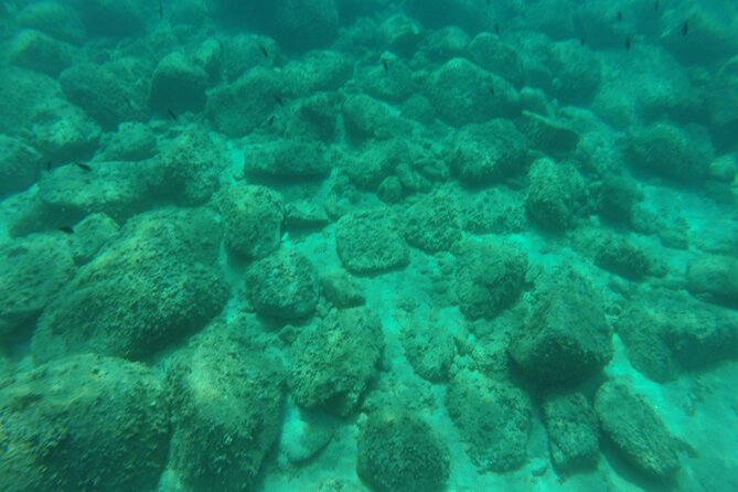 Tropea Zambrone Exclusive Boat Tour - The Real Value of This Tour