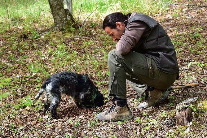 Truffle Hunt & Bio Lunch in Assisi - Authenticity and Personal Touch