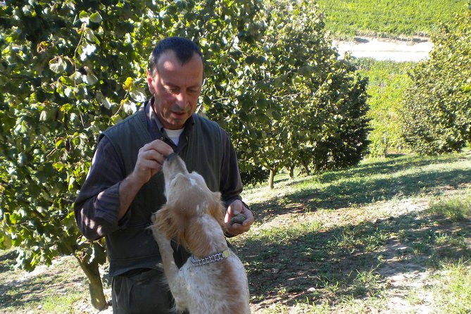 Truffle Hunt & Wine Tasting - Frequently Asked Questions