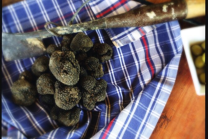 Truffle Hunting and Handmade Pasta in Ascoli Piceno - Final Verdict: Why This Tour Offers Real Value