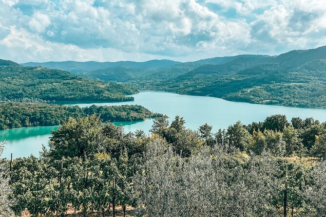 Truffle hunting & cooking tour - What Do the Reviews Say?
