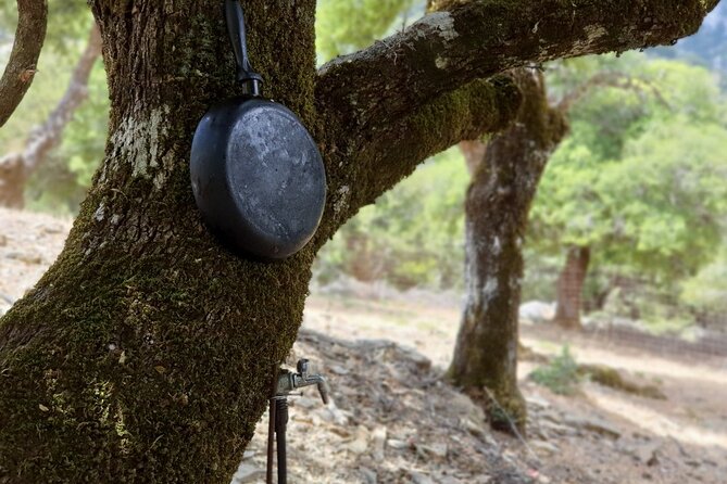 Truffle Hunting, Culinary & Wine Celebration from Elounda - Who Will Appreciate This Tour?