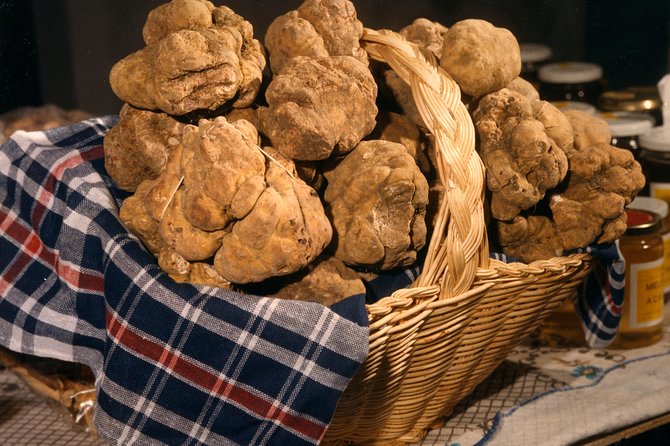 Truffle Hunting with Tasting Included - Umbria, Italy - Final Thoughts