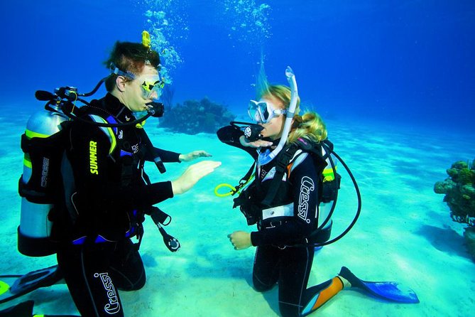 Try Dive - PADI Discover Scuba Diving in Tenerife - Meeting Details and Practical Tips