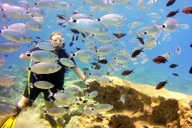 Try Dive - Scuba Diving with a private guide, incl. photos - The Tour in Practice: Booking, Pricing, and Practicalities