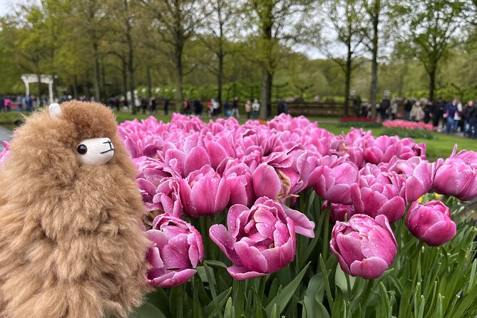 Tulip Paradise: Keukenhof Half-Day Private Tour - What Do You Get with This Tour?