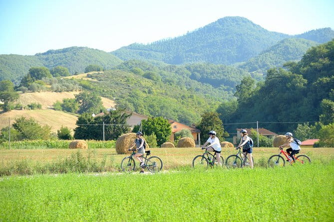 Tuscan countryside bike tour and food tasting - Practical Details and What to Expect
