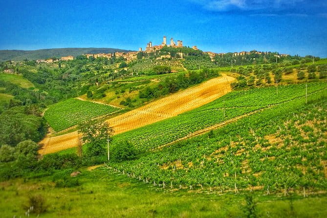Tuscany Vespa Tour from Florence with Wine Tasting - Practical Details and Considerations