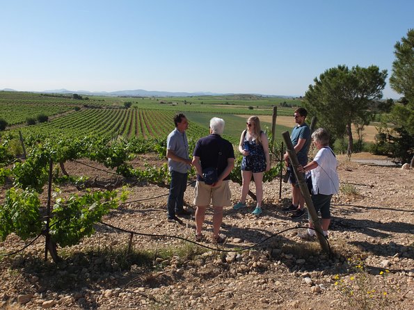 Two wineries tour with wine tasting - Behind the Scenes: What to Expect