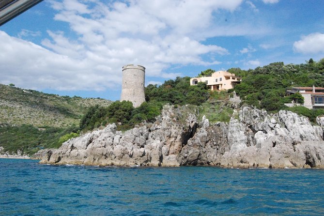Ulysses Coast Boat Tours - Conclusions: Is It Worth Signing Up?