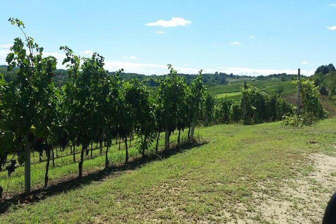Unique wine tasting at Winery Marchesi Incisa della Rocchetta - Final thoughts