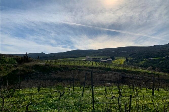 Unique wine tasting of organic Cretan wines - Final Thoughts