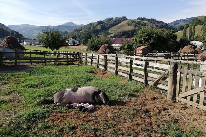 Unspoiled FRENCH BASQUE COUNTRYSIDE - Private Cultural Adeventure - FAQ