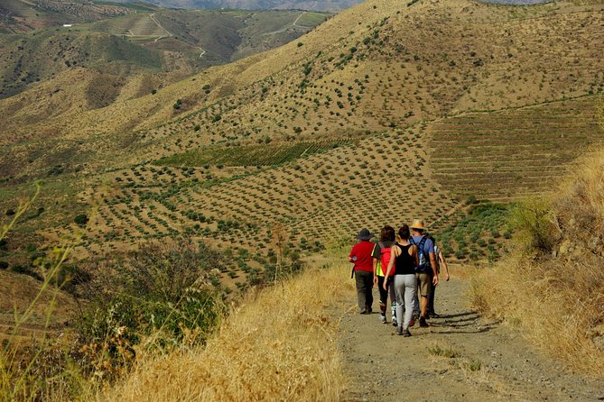 Upper Douro Walk & WineTour - Value and Practicalities
