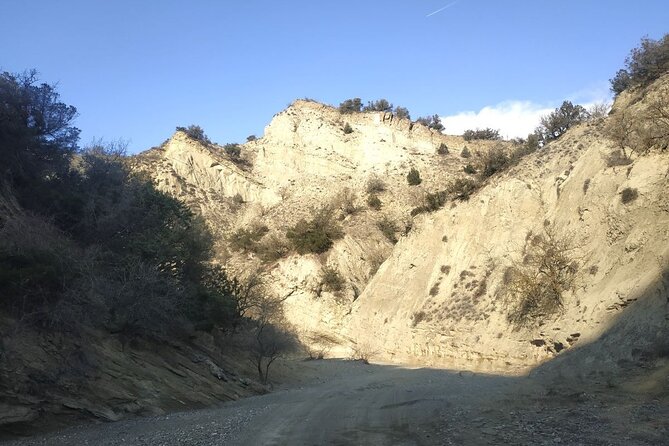 Vashlovani National Park Day Trip from Tbilisi - What the Tour Does Well
