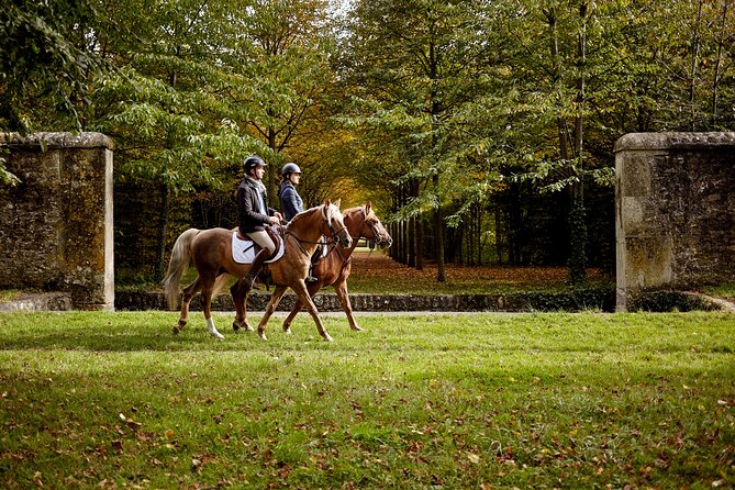 Versailles Private Tour : Horse-riding, Gastronomy & the Palace - Gourmet Lunch with a View