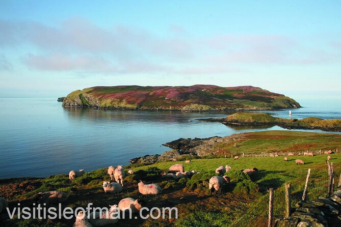 Viking Tour of the Isle of Man - Half Day - Private Tour - Frequently Asked Questions