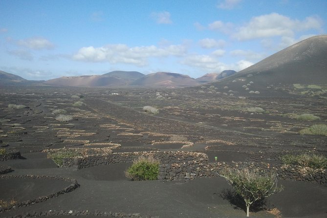 Vineyards of La Geria hiking tour - What to expect from the experience