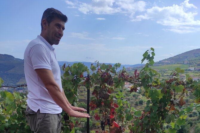 Vinho Verde 2 Wineries + Cultural Guimarães - Private/from Porto - Authenticity and Value