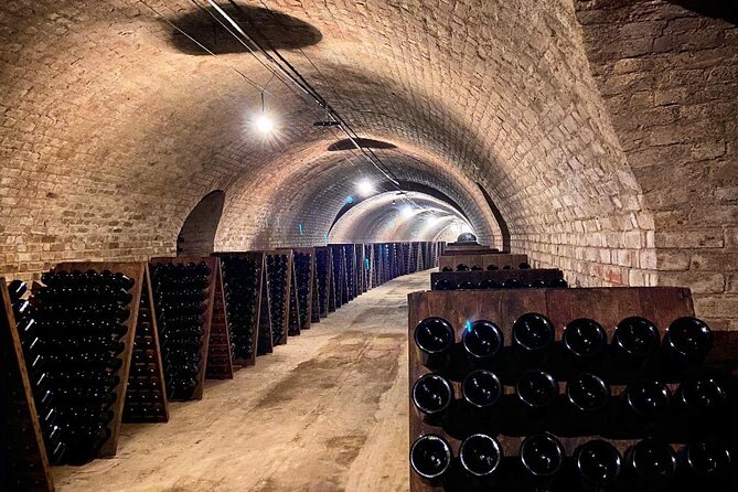 VIP Champagne Region Day Trip with 7 Tastings & Lunch from Paris - Who Is This Tour Best For?