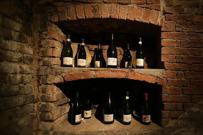 Visit among vineyards and wine cellar with wine tasting in Nizza Monferrato - Why You Should Consider This Tour