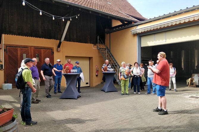 Visit and tasting of wines and cheese and charcuterie platter - The Sum Up: Who Will Love This Experience?