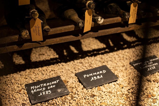 Visit of our 15th century cellars - Who Will Love This Tour?