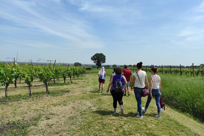 Visit of the Winemaker with Tasting of Typical Products in Faenza - Who Will Love This Tour?