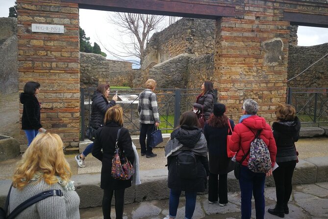 Visit Pompeii with an expert professional guide (2/3 hours) - What Reviewers Say