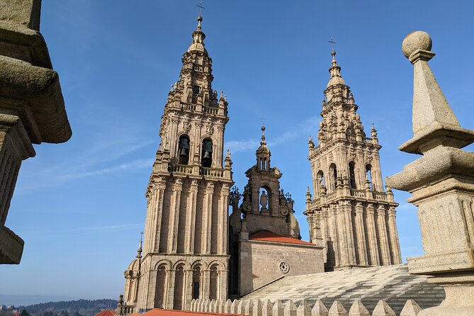 Visit to the Cathedral of Santiago with Roofs and Optional Portico - Who is This Tour Best For?
