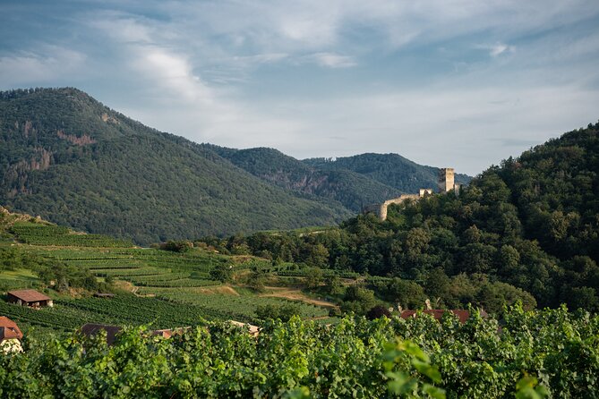 Wachau Valley Vines: A Culinary and Cultural Private Experience - Practical Details