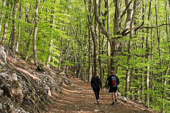 Walk around Faito Mountain, the Highest Point of the Amalfi Coast and Sorrento Peninsula - Who Is This Tour Perfect For?