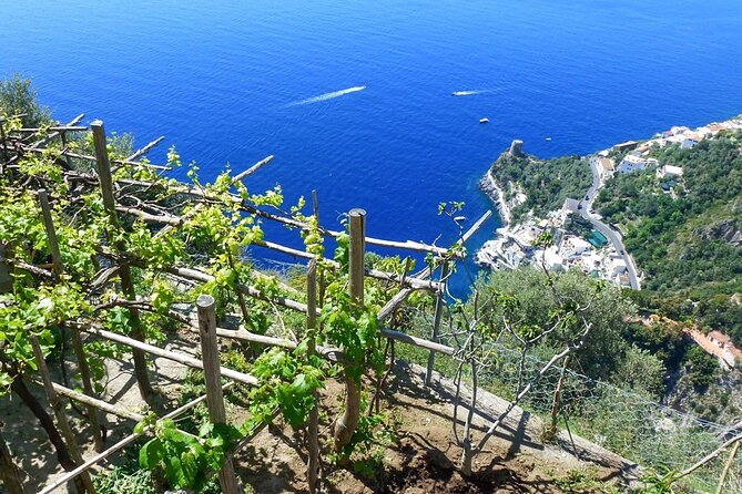 Walk, Cook and Eat on the Amalfi Coast - Who Should Consider This Tour?