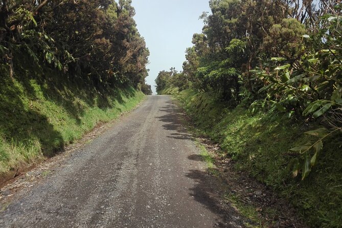 Walking trail, Tasting session and Kayaking - The Itinerary in Detail