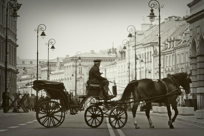 Warsaw Private Tour By Car & Walk - Flexibility and Customization
