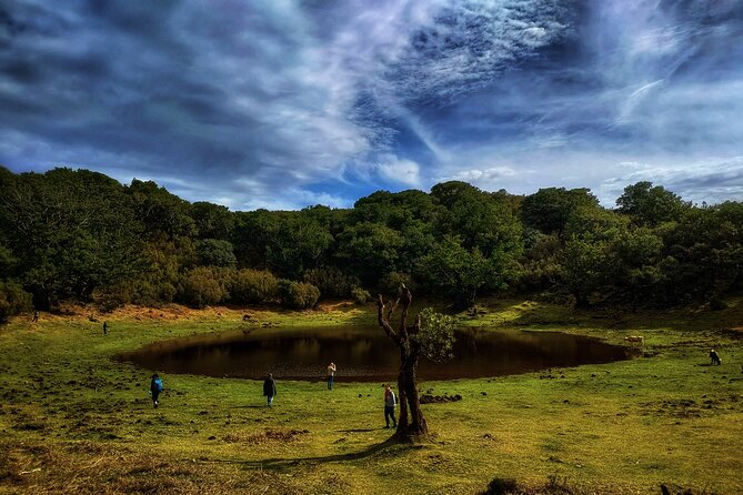 West Madeira Island Guided Tour & Fanal Mystic Forest - Who Will Appreciate This Tour?