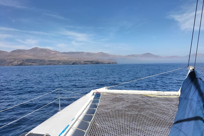 Whale & Dolphin Observation on Silent Catamaran with Hydrophone - Who Will Truly Appreciate This Tour?