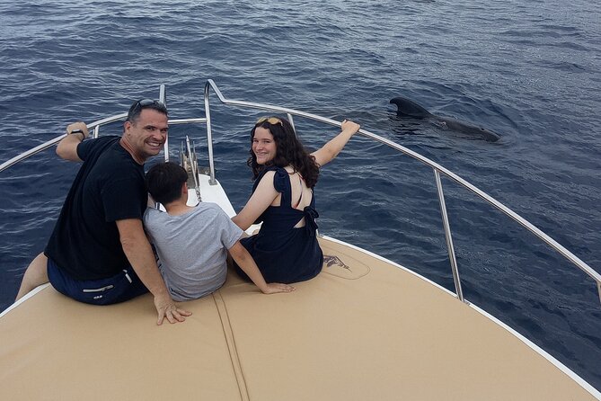 Whale watching and snorkelling in the whale sanctuary - Insights from Reviews