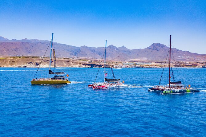 Whale Watching Catamaran in Costa Adeje (Including drinks & Sandwich) - Authentic Insights from Travelers