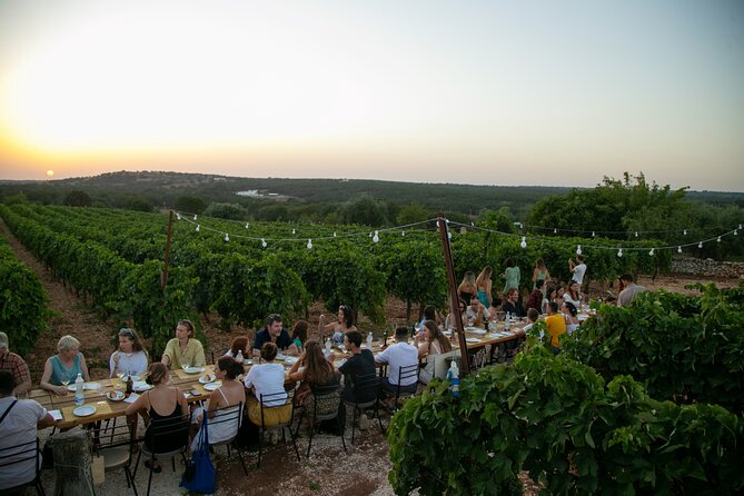 Wine Experience: vineyard, wines and food - The Setting and Atmosphere