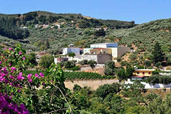 Wine & Olive Oil tasting one day private tour in Crete - Frequently Asked Questions