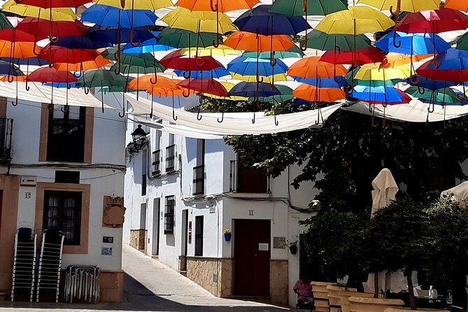 Wine & Tapas tour by electric bike (e-bike) including Ronda pickup (full day) - What Makes This Tour Valuable?