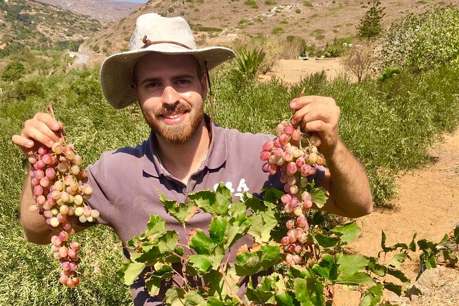 Wine Tasting and Tour in Saint Anna Winery in Naxos - What Do Visitors Love Most?