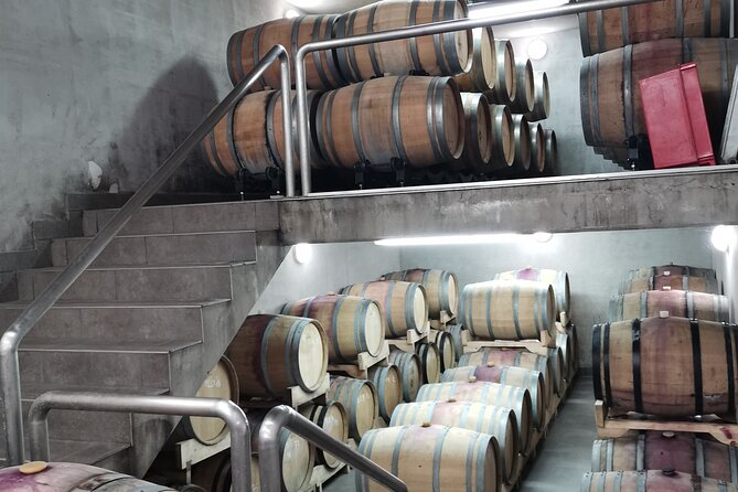 Wine Tasting Experience at the organic winery in ian - Who Will Appreciate This Tour?