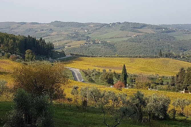 Wine tasting in Montepulciano and visit to Pienza, in Tuscany from Rome - The Value of This Experience