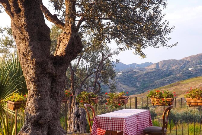 Wine Tasting & Vineyards Escape near Tirana - The Sum Up