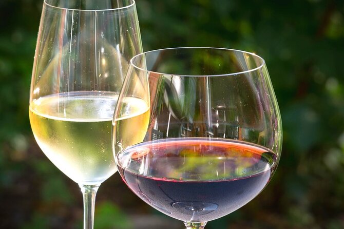 Wine tour peninsula Peljeac - The Sum Up