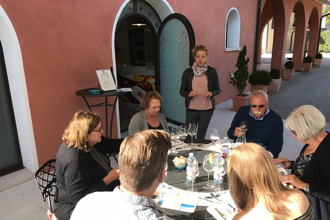 Wine Tour whit wine tasting - The Experience: Practical and Enjoyable