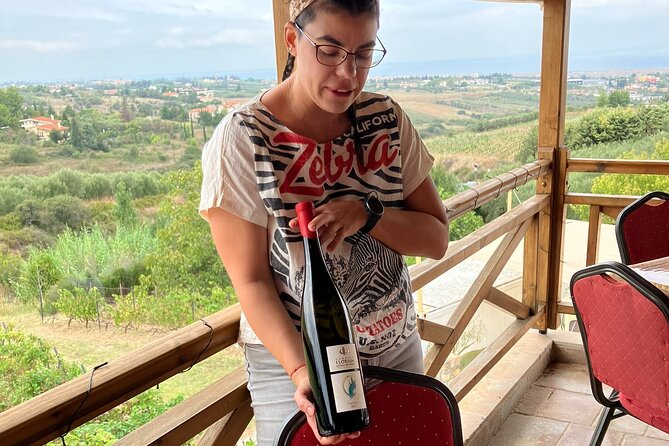 Wine Touring a Step Away from the city - What Travelers Are Saying